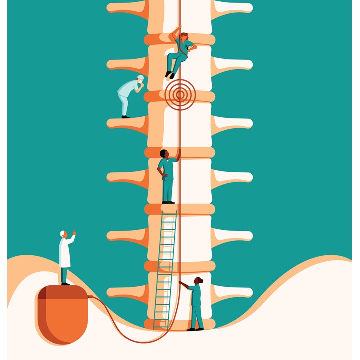Medical Illustration and Animation :: Association of Medical Illustrators