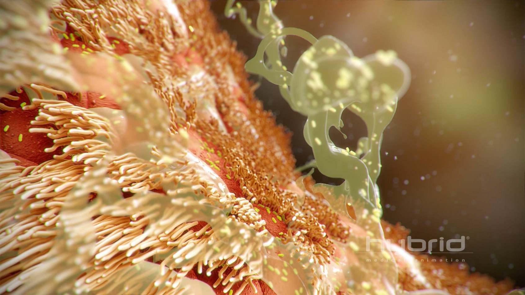 Hybrid Medical Animation - Medical Illustration & Animation | Minneapolis