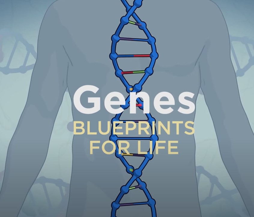 Gene Replacement Therapy with AAV Animation by Intervoke | Medical ...