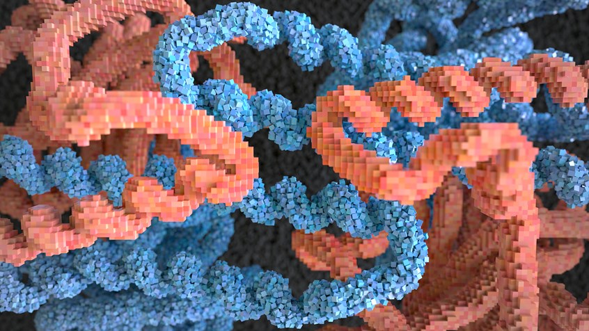 Pseudo De-Ubiquitinase Illustration by Phospho Biomedical Animation ...