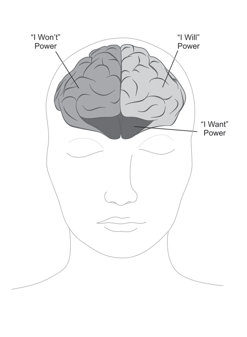 Will Power centers of the brain Illustration by Tina Pavlatos | Medical ...