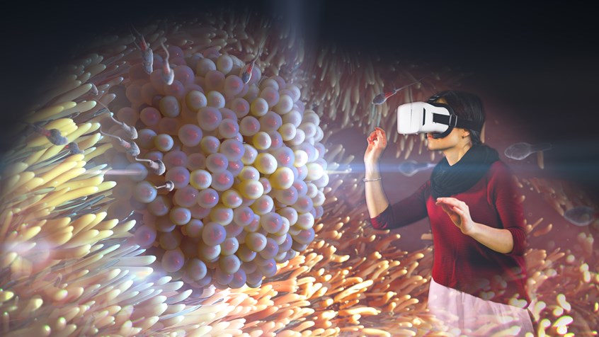 Medical Virtual Reality Illustration by Nanobot Medical Inc. | Medical ...