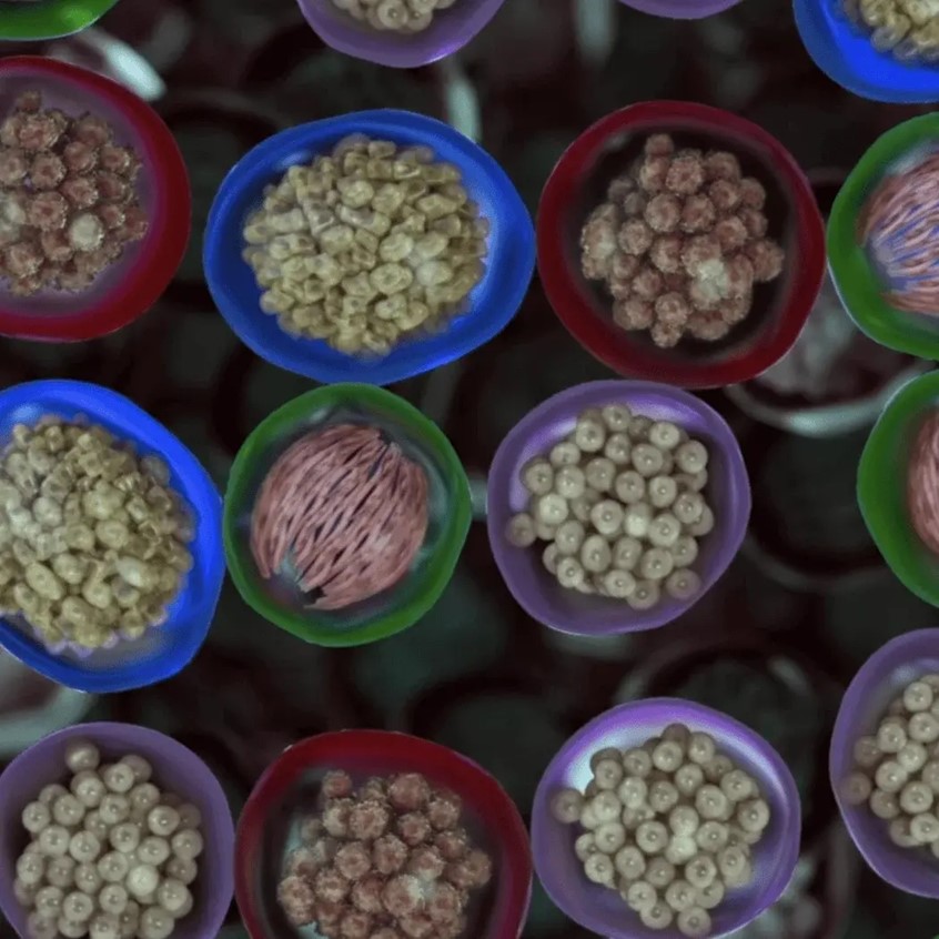 Fluosphera Animation by Nanobot Medical Inc. | Medical Illustration ...