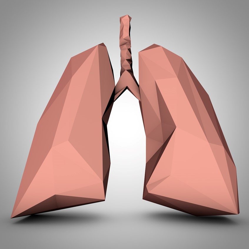 3D paper mache lungs Illustration by Veronica Hughes | Medical ...