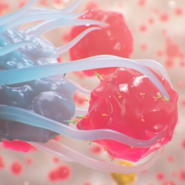 macrophage Animation by AixSponza | Medical Illustration & Animation