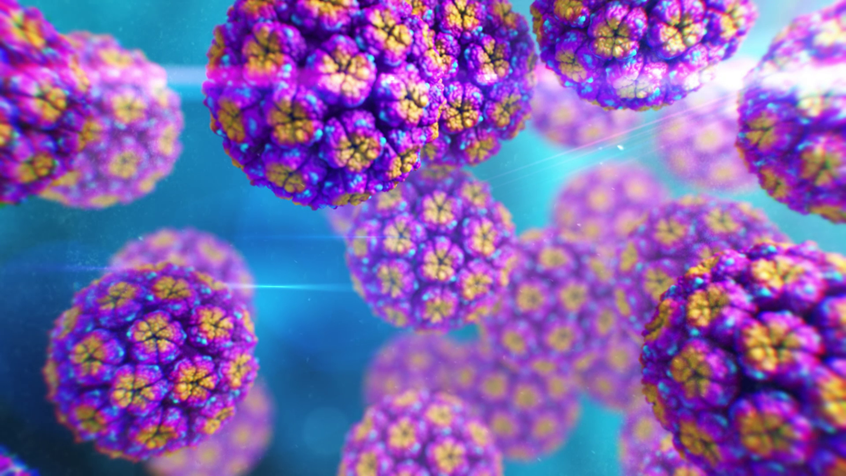 Human Papillomavirus Animation by Hyperfine Studios | Medical ...