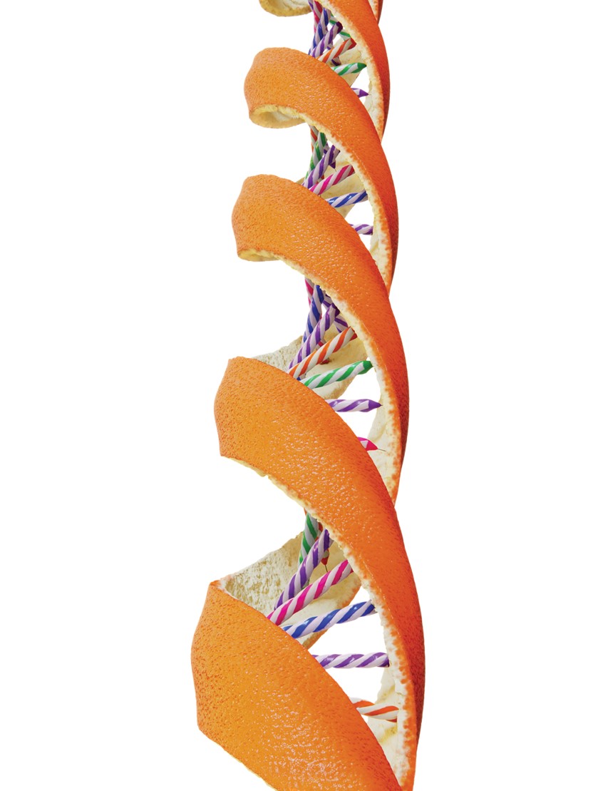 Orange DNA Illustration by Peter Crowther Associates | Medical ...