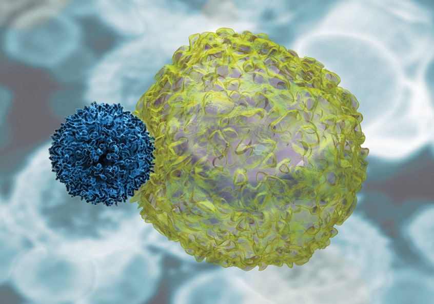 t-cell moa Illustration by Robert Lambiase | Medical Illustration ...