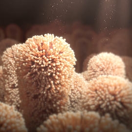 Microvilli Dynamic environment Animation by Helix Animation | Medical ...