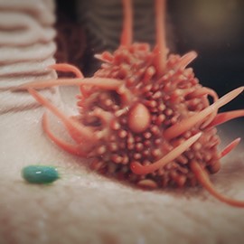Macrophages in Action - Immunology Animation by Helix Animation ...