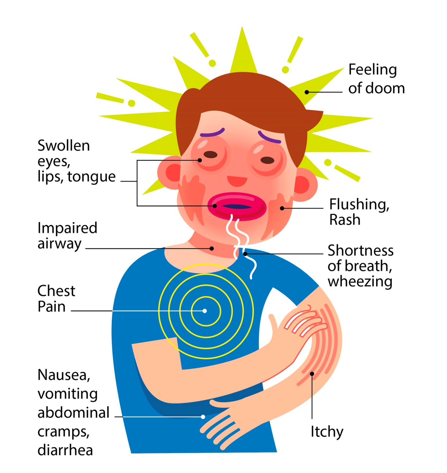 Medical Illustration and Animation :: Association of Medical Illustrators