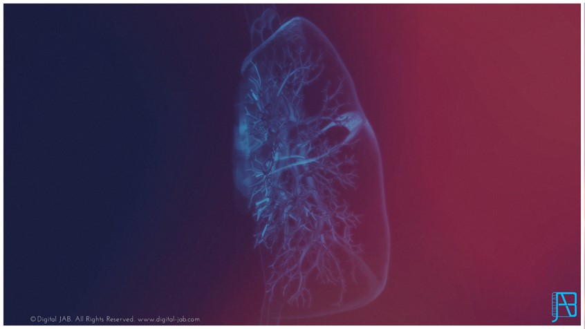 Lung Scan Illustration by Digital JAB, LLC | Medical Illustration ...