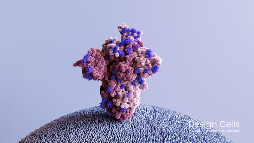 Omicron variant spike protein Animation by Design Cells | Medical ...
