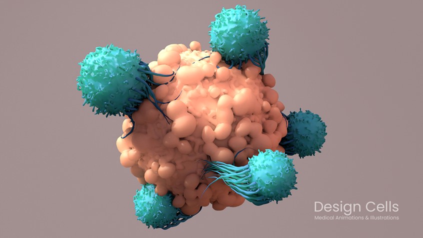 T-Cells Work to Fight Cancer Animation by Design Cells | Medical ...