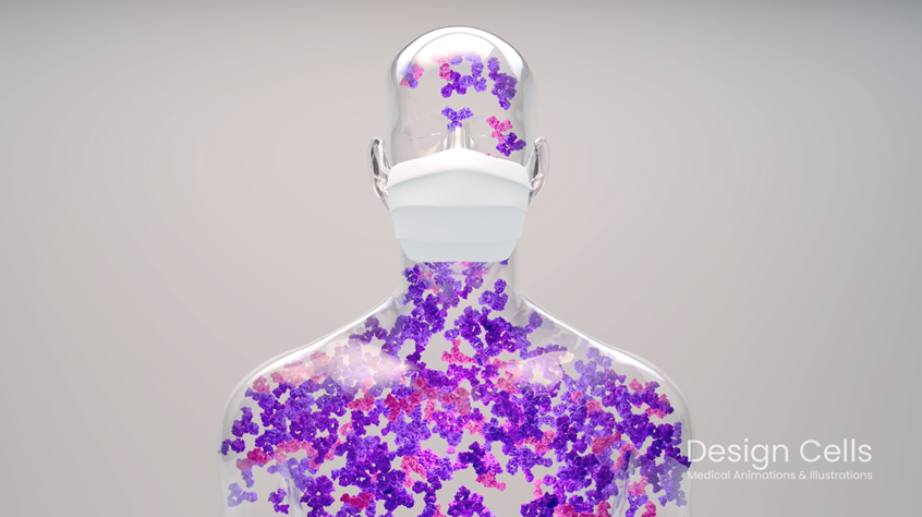 Antibody Animation by Design Cells | Medical Illustration & Animation