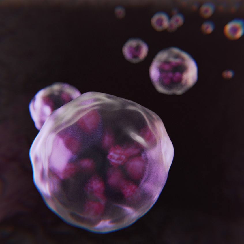Respiratory droplets carrying virions Illustration by Nanographics ...