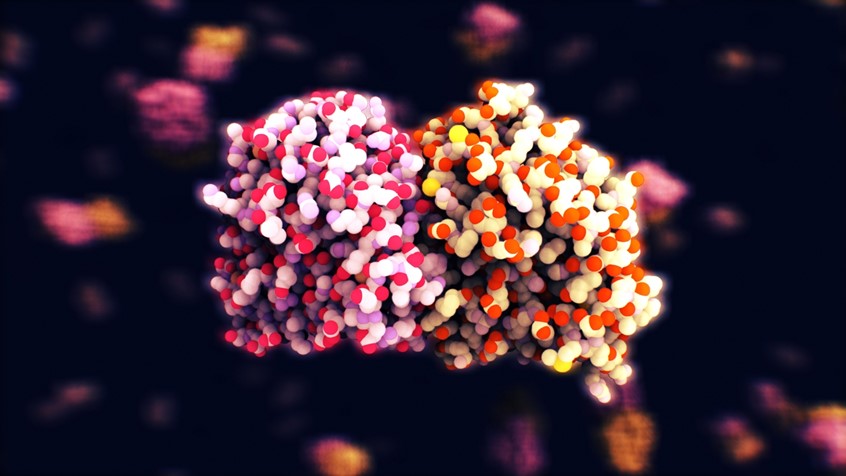 Tubulin - a building block of microtubules Illustration by Nanographics ...