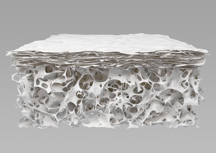 Collagen Membrane (Product Visual) Illustration by Quaint | Medical ...
