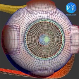 Eye animation setup Animation by Medicine 3D | Medical Illustration ...