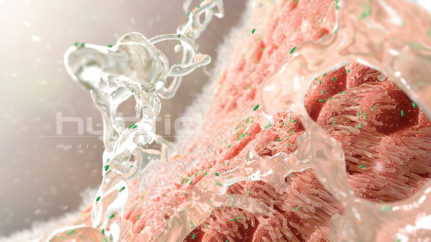 Bordetella pertussis Illustration by Hybrid Medical Animation | Medical ...