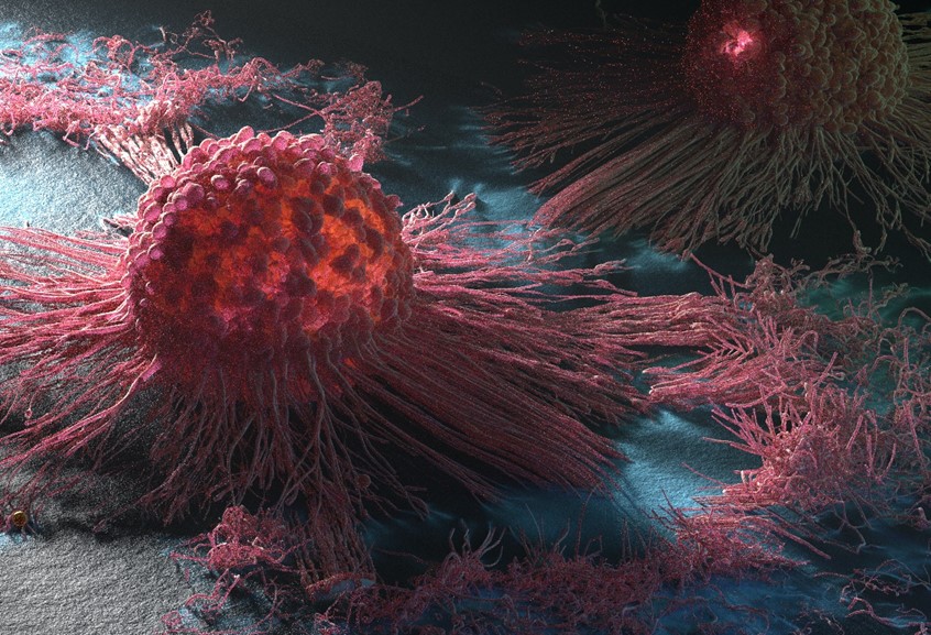 Internal Cancer cell Illustration by 3FX, inc. | Medical Illustration ...