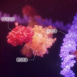 Kartos Therapeutics - Navtemadlin MOA at EHA 2023 Animation by ...