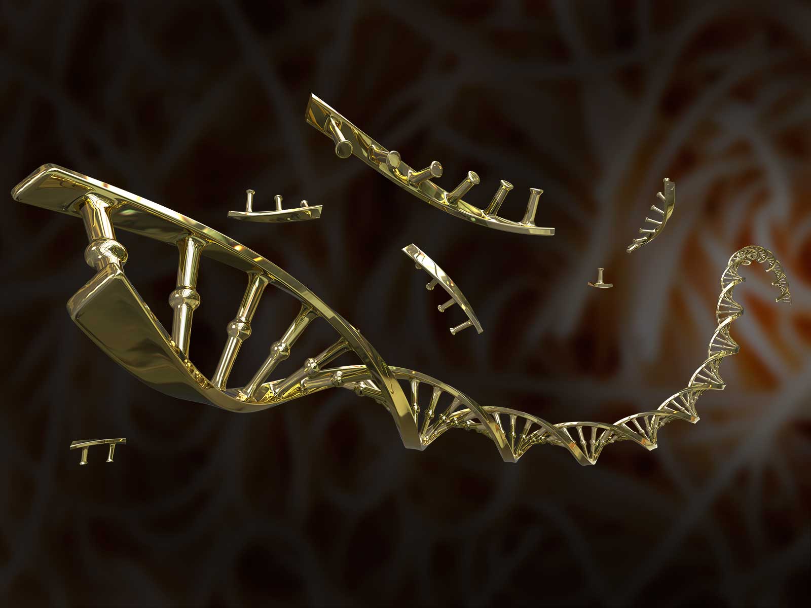 DNA Strands and Segments Illustration by AlbrechtGFX | Medical ...