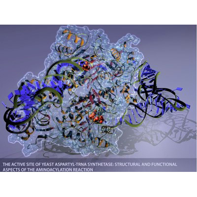 Yeast Protein Illustration by Alan Gesek | Medical Illustration & Animation
