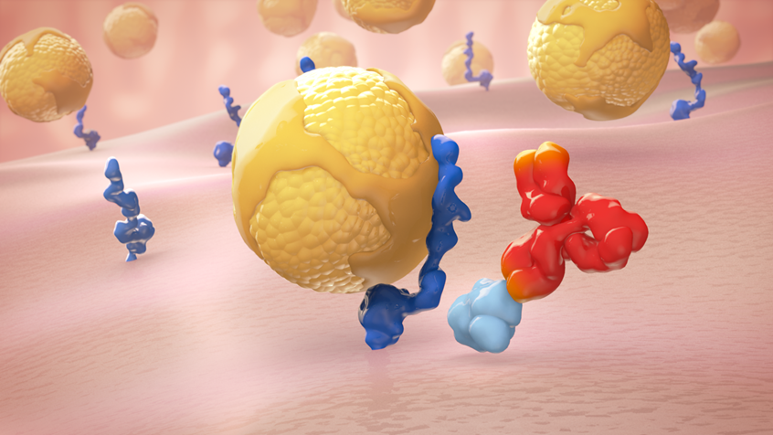PCSK9 LDL Cholesterol Regulation Animation Illustration by AXS Studio ...