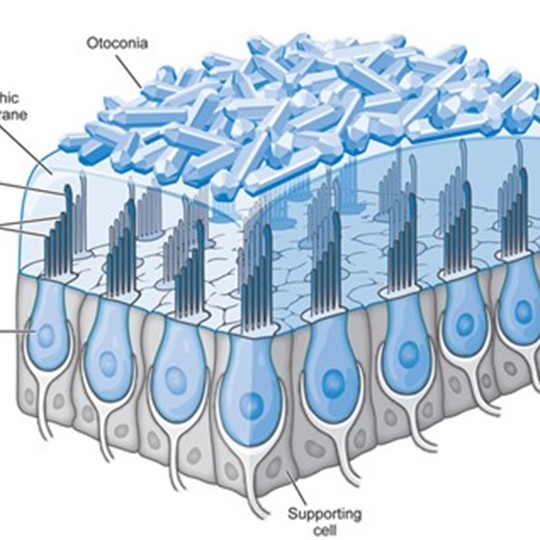 Photocatalytic Feed Spacers Illustration by Maury Aaseng | Medical ...