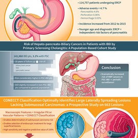 Maury Aaseng - Medical Illustration & Animation | Duluth