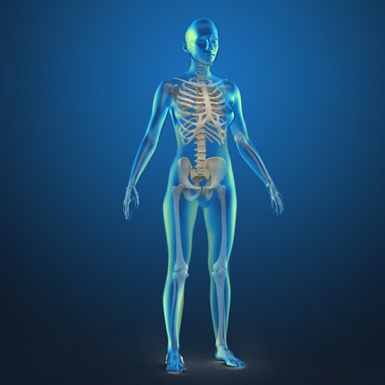Paul Brown - Medical Illustration & Animation