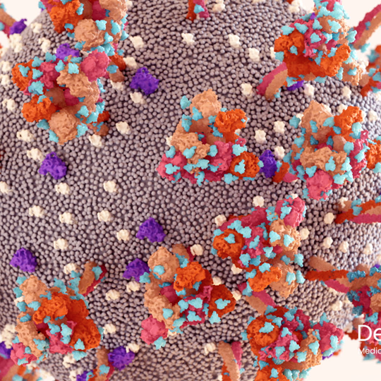 Design Cells - Medical Illustration & Animation | Canada