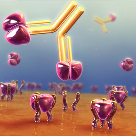 Illustration by Hybrid Medical Animation | Medical Illustration & Animation