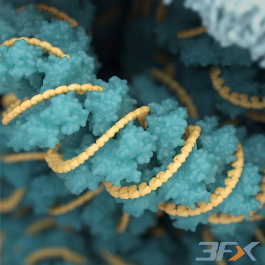 Dendritic cell (DCs) Illustration by 3FX, inc. | Medical Illustration ...