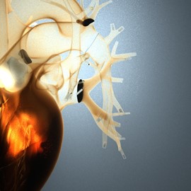 Neuron cross-section Illustration by 3FX, inc. | Medical Illustration ...