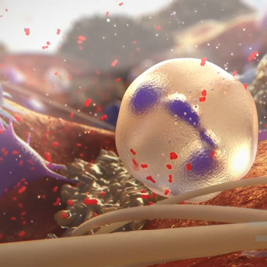 Heart in Rib Illustration by 3FX, inc. | Medical Illustration & Animation