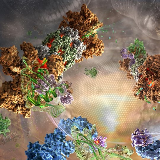 Dendritic Cell Interaction with Tumor Cell Illustration by Audra Geras ...