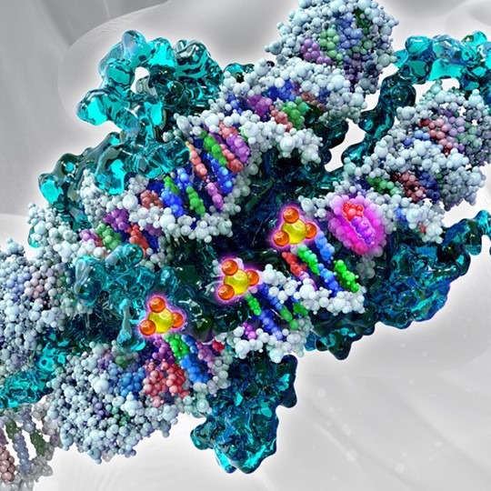 Dendritic Cell Interaction with Tumor Cell Illustration by Audra Geras ...