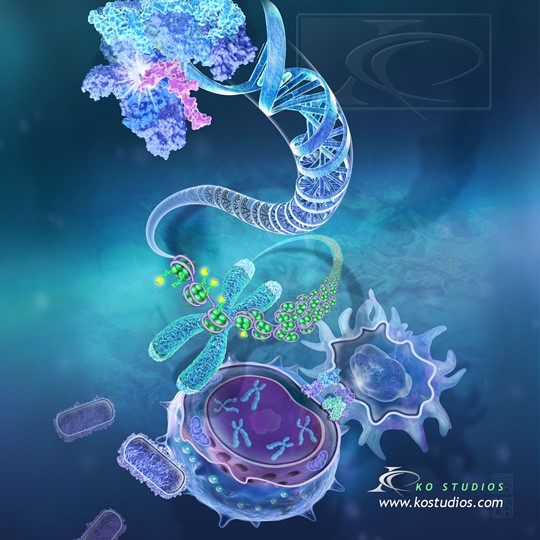 Prostate Cancer Illustration by KO Studios | Medical Illustration ...