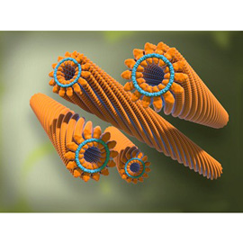Vesicular Stomatitis Virus Illustration by AlbrechtGFX | Medical ...
