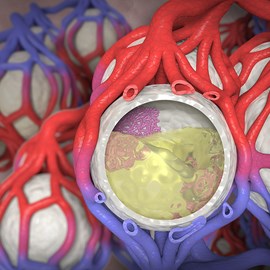 Orthomyxo Influenza Virus Cross-section Illustration by AlbrechtGFX ...