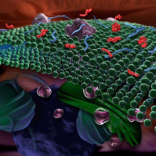 Orthomyxo Influenza Virus Cross-section Illustration by AlbrechtGFX ...