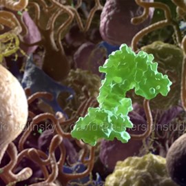 OncoSec Immunopulse Immunotherapy Program Illustration by David ...
