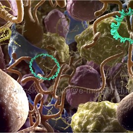 OncoSec Immunopulse Immunotherapy Program Illustration by David ...